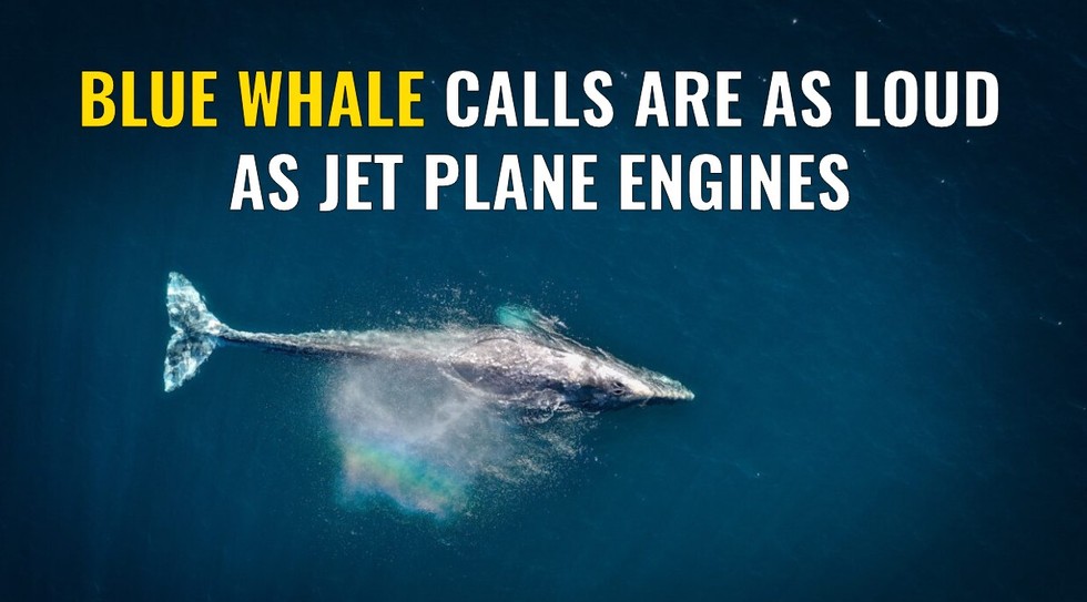 Just for Fun | Goalcast