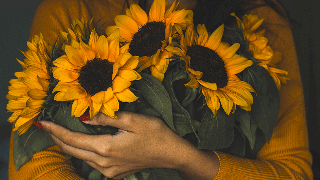100 Sunflower Quotes to Brighten Your Day - Goalcast