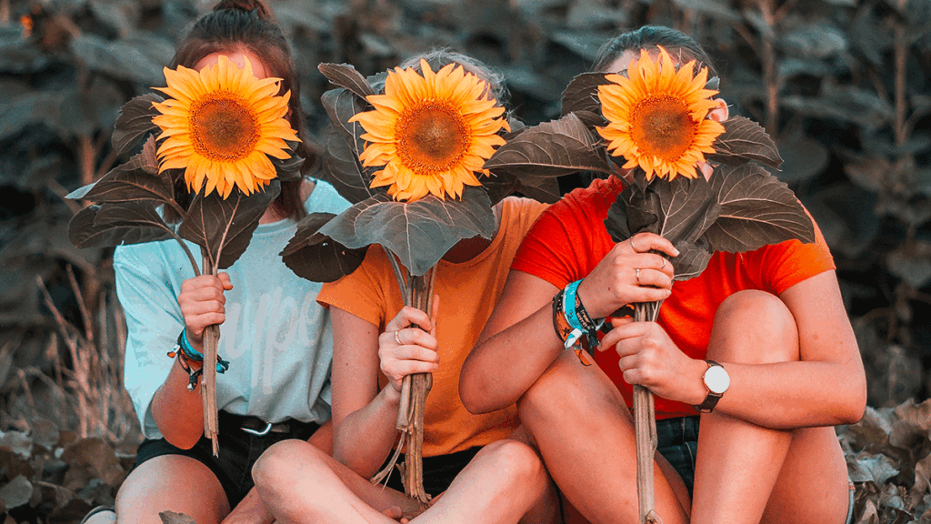 100 Sunflower Quotes to Brighten Your Day - Goalcast