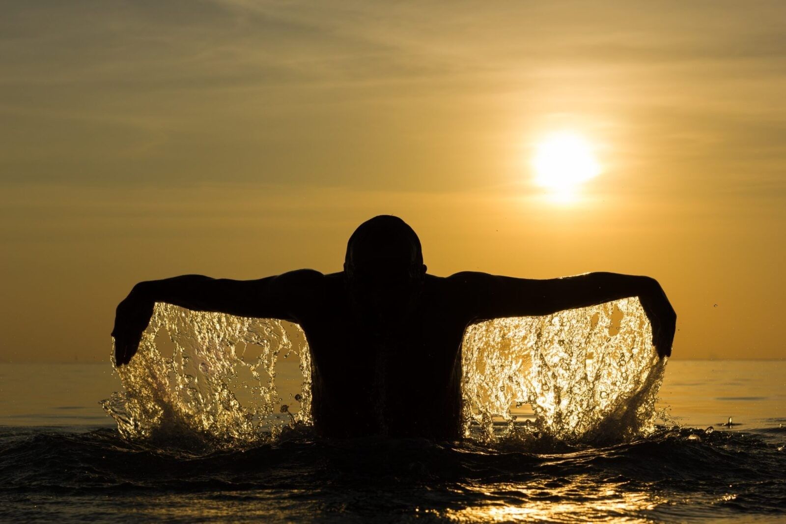 Legend of the Phoenix: 3 Ways to Rise Up from Rock Bottom - Goalcast