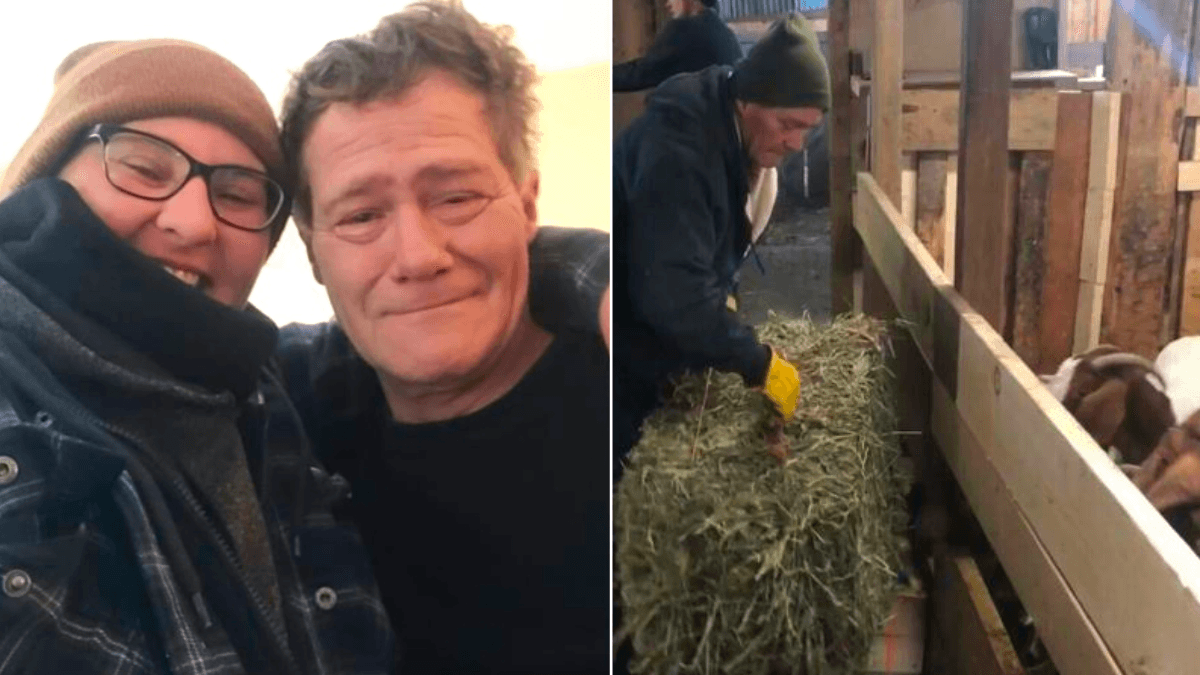 Kind Woman Employs Homeless Man as a Farm Laborer, Ending Cycle of Poverty